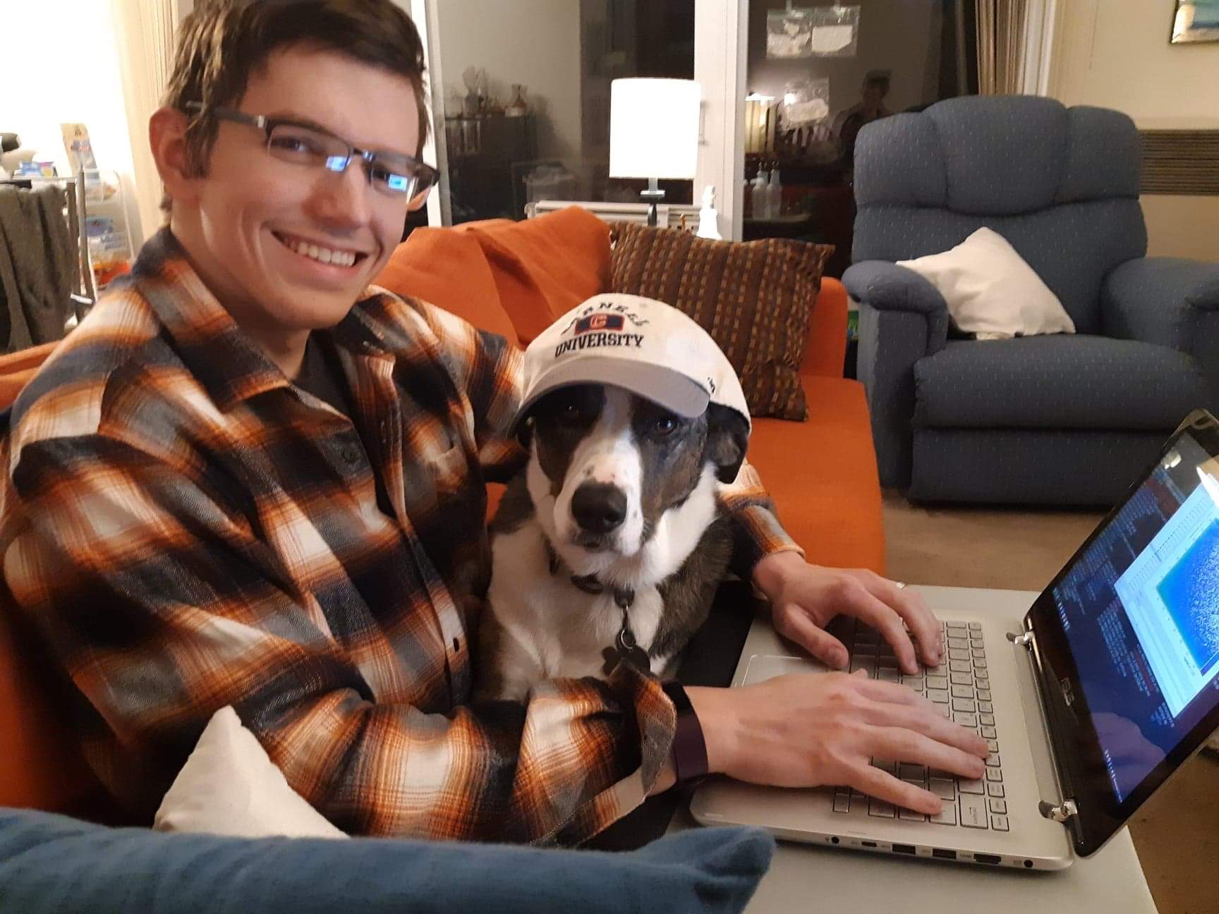 Pets Helping with Remote Working, Teaching, and Learning - Graduate ...
