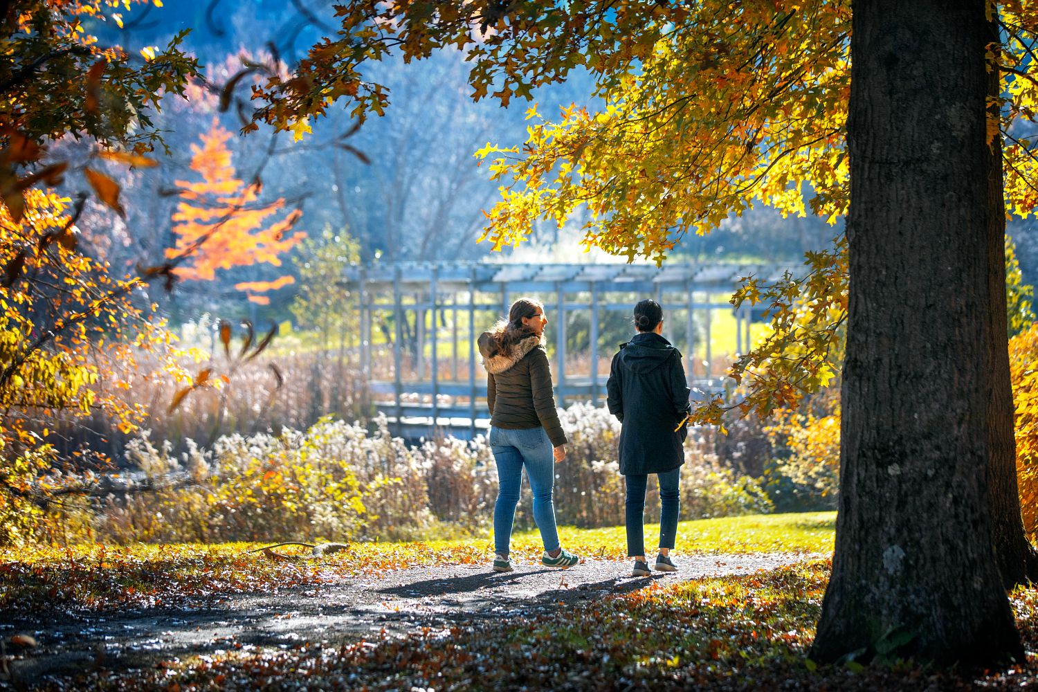 Grad Tips: Finding Fun Things to do in Ithaca - Graduate School ...