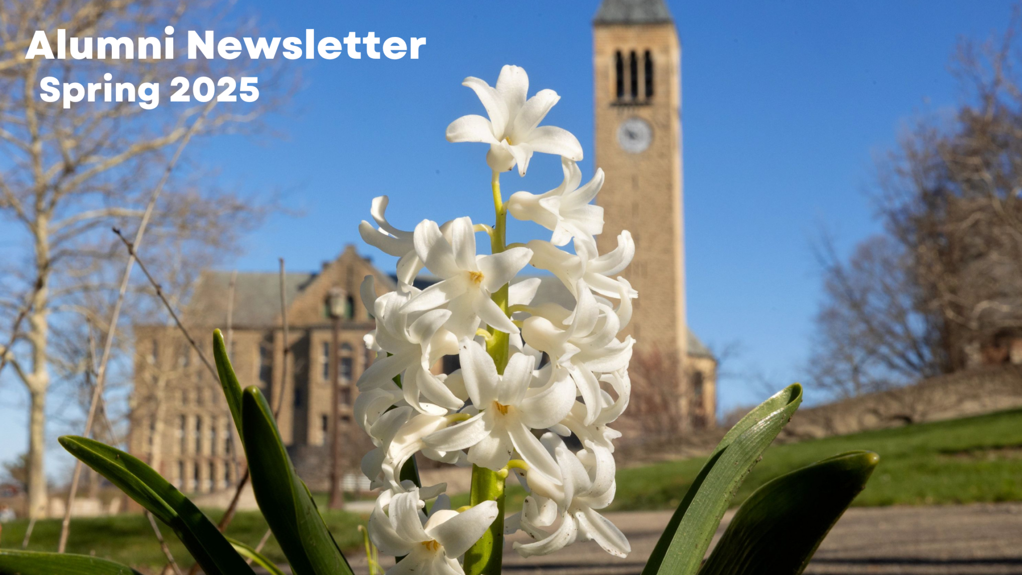 Alumni Newsletter Spring 2025 - Graduate School : Graduate School